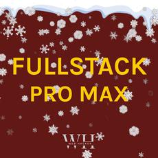 FullStack Pro MAX — Stepik